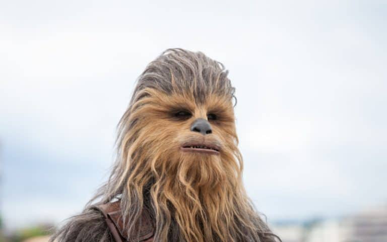How Old Is Chewbacca? - FandomFevers
